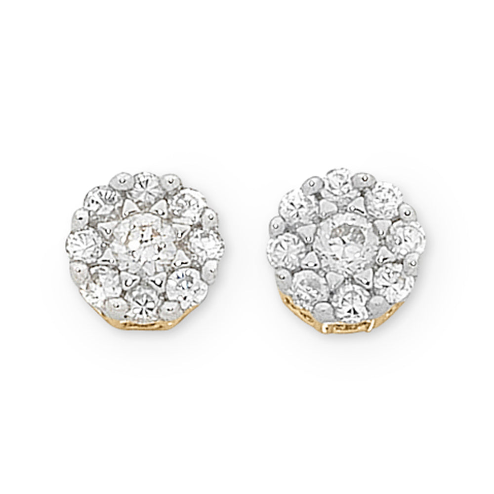 Nose shopping Studs Prouds 2024
